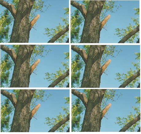 Links – Daniel Nester